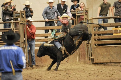 Montgomery County Fair and Rodeo - New Caney Events