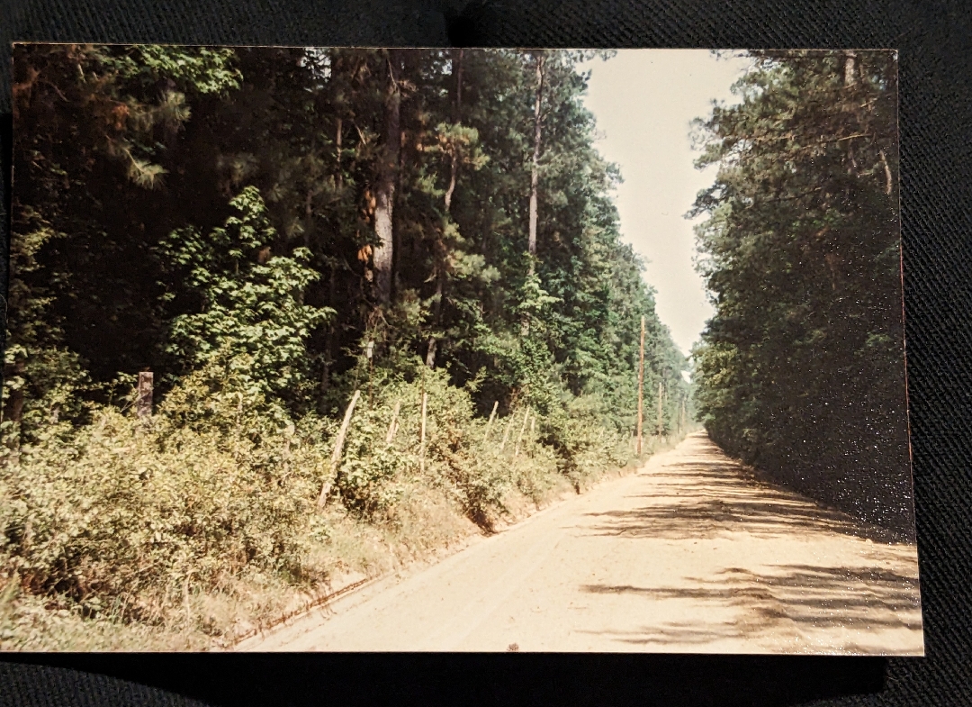 Gene Campbell (Tree Monkey) circa 1989