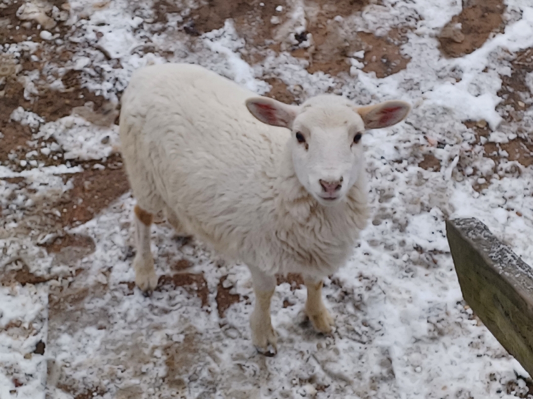 Little Kutie came out for a brief minute and then back to her wa