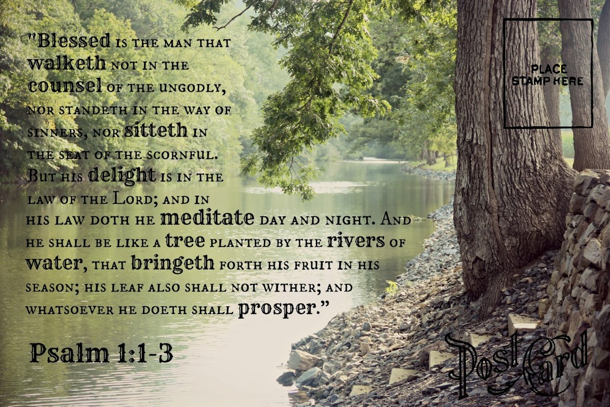 Proverbs 1 31